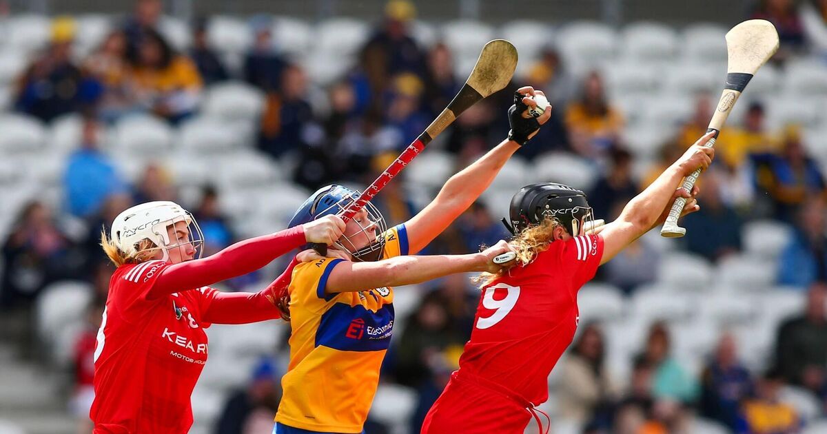Munster camogie and hurling double headers to take place in April and May