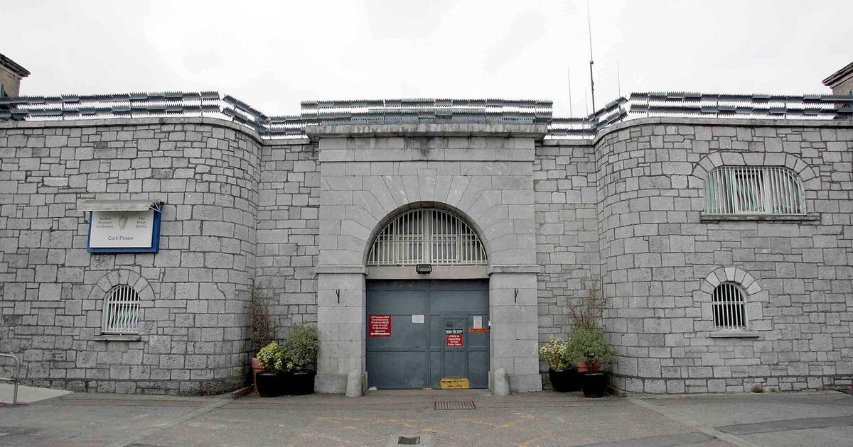 Minister says old Cork prison site could be used to extend new jail