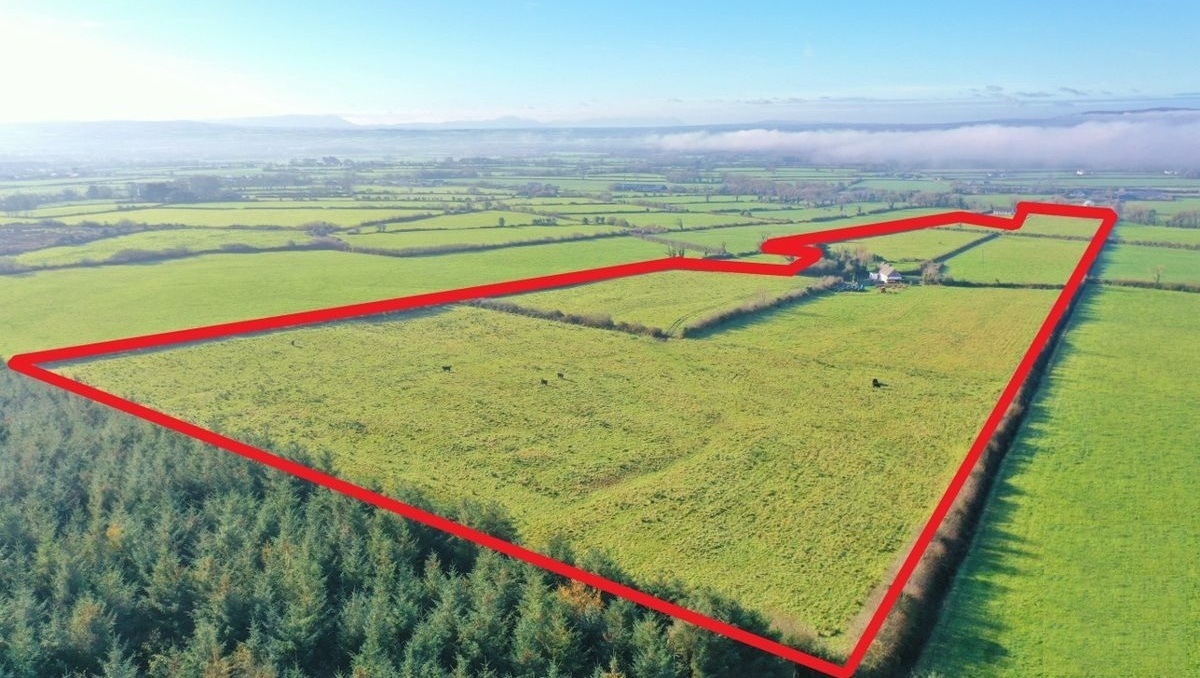 Kerry holding guiding €9,700/acre attracting farmers and non-farmers