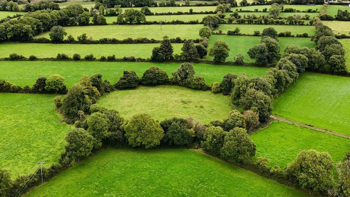 Fairy forts — so many still here and still relevant today