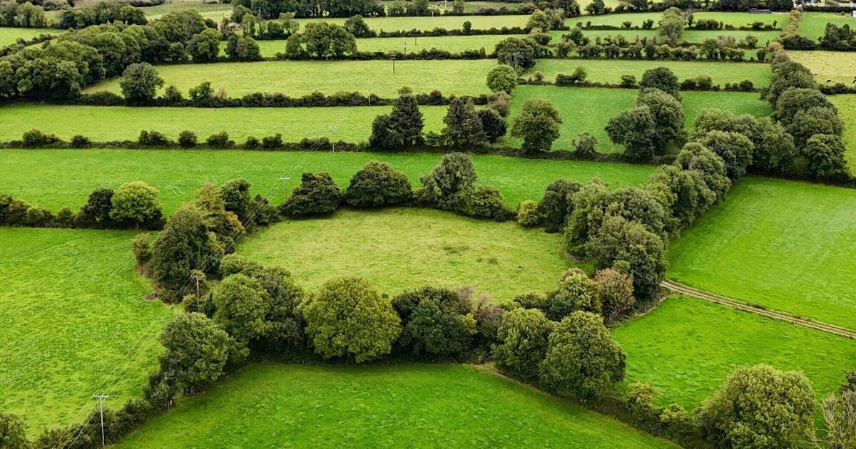 Fairy forts — so many still here and still relevant today