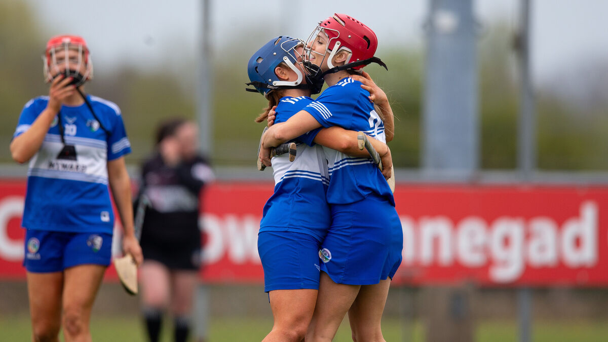 Susie Delaney leads Laois as they secure Camogie league Division 3 title