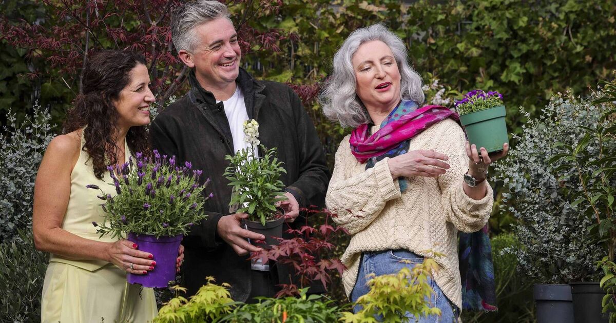 Garden Digest: Get set for Bloom and other fun events