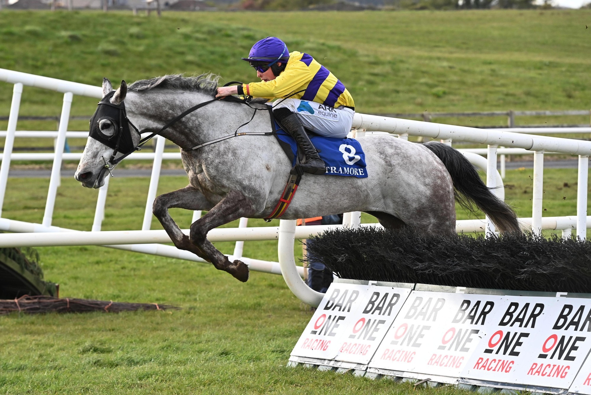 Our Zebo wins the Anne Valley Walk Handicap hurdle at Tramore