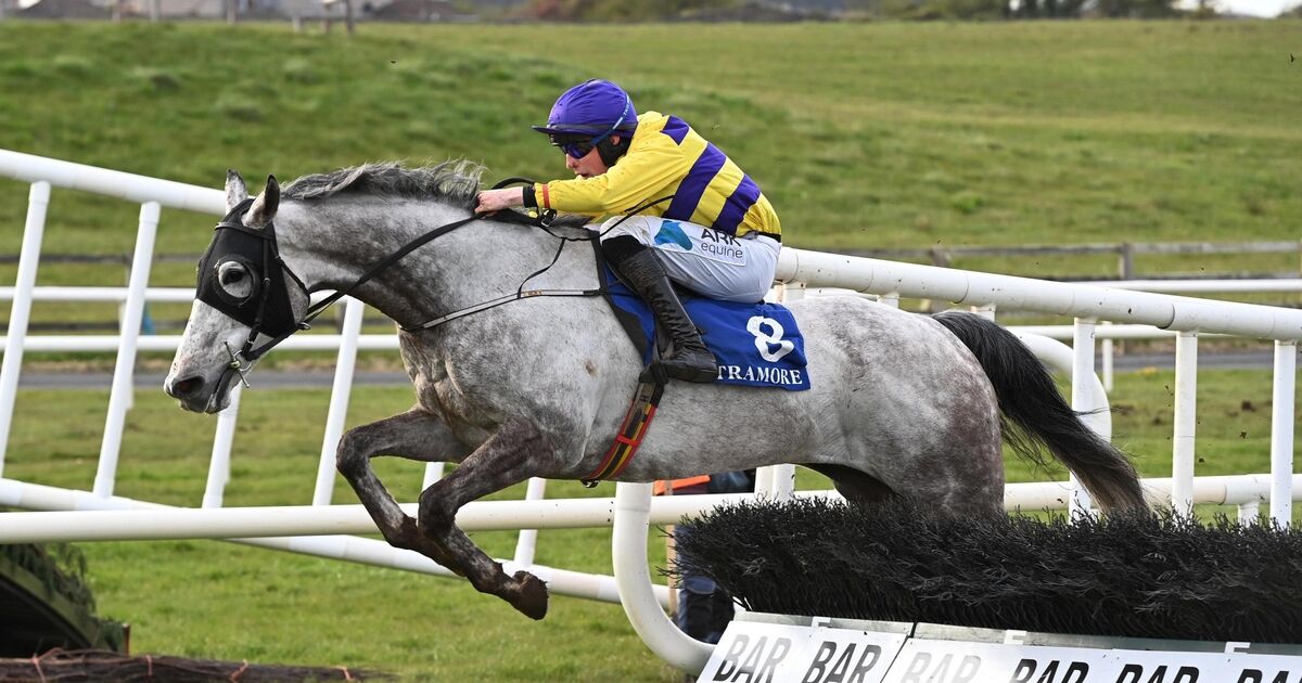 Our Zebo wins the Anne Valley Walk Handicap hurdle at Tramore