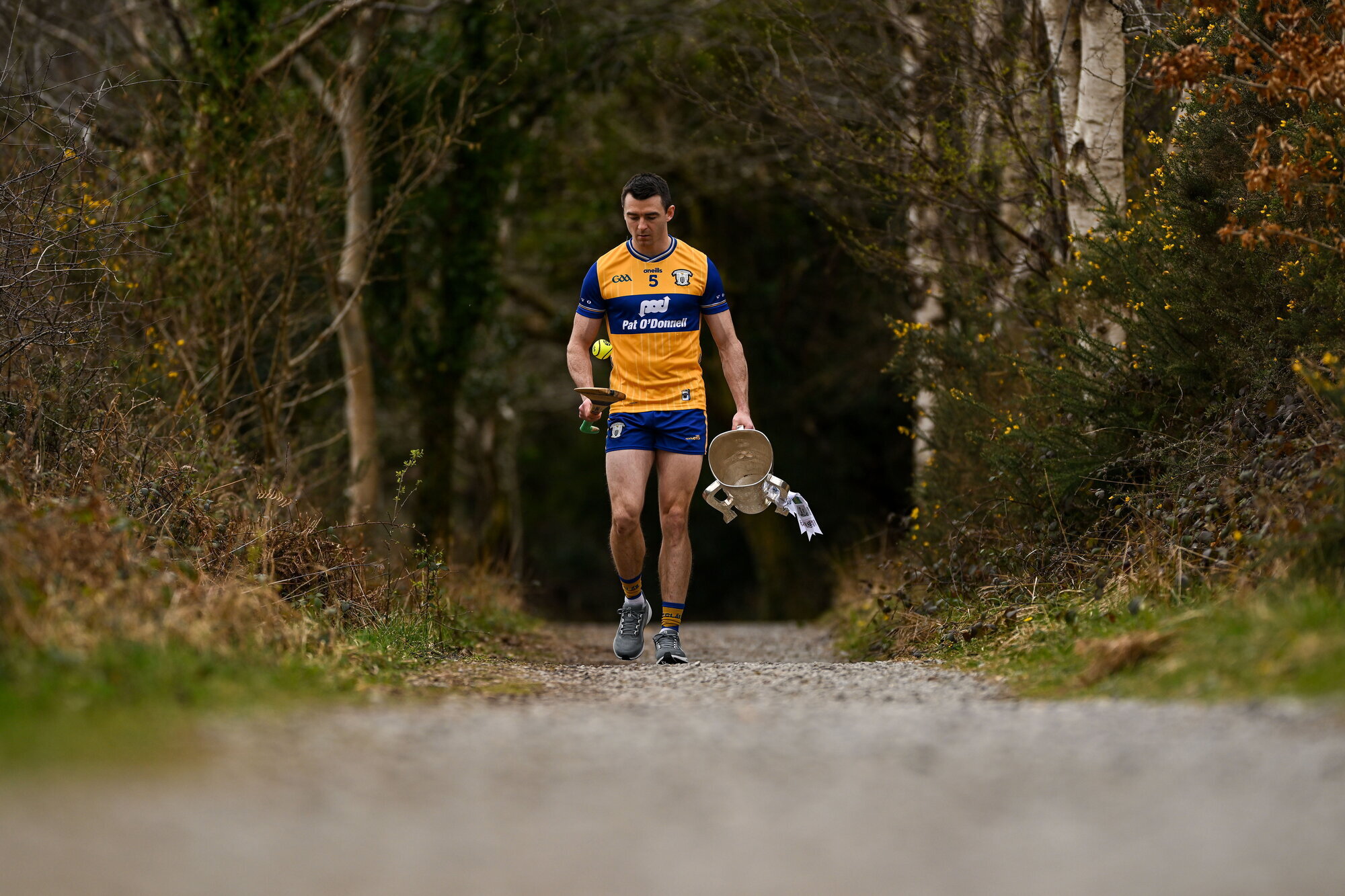 Ryan Taylor: It's always a question posed to All-Ireland winners - can ...