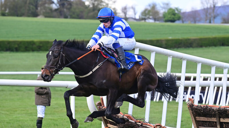 Fad Eadrainn makes class tell at Clonmel