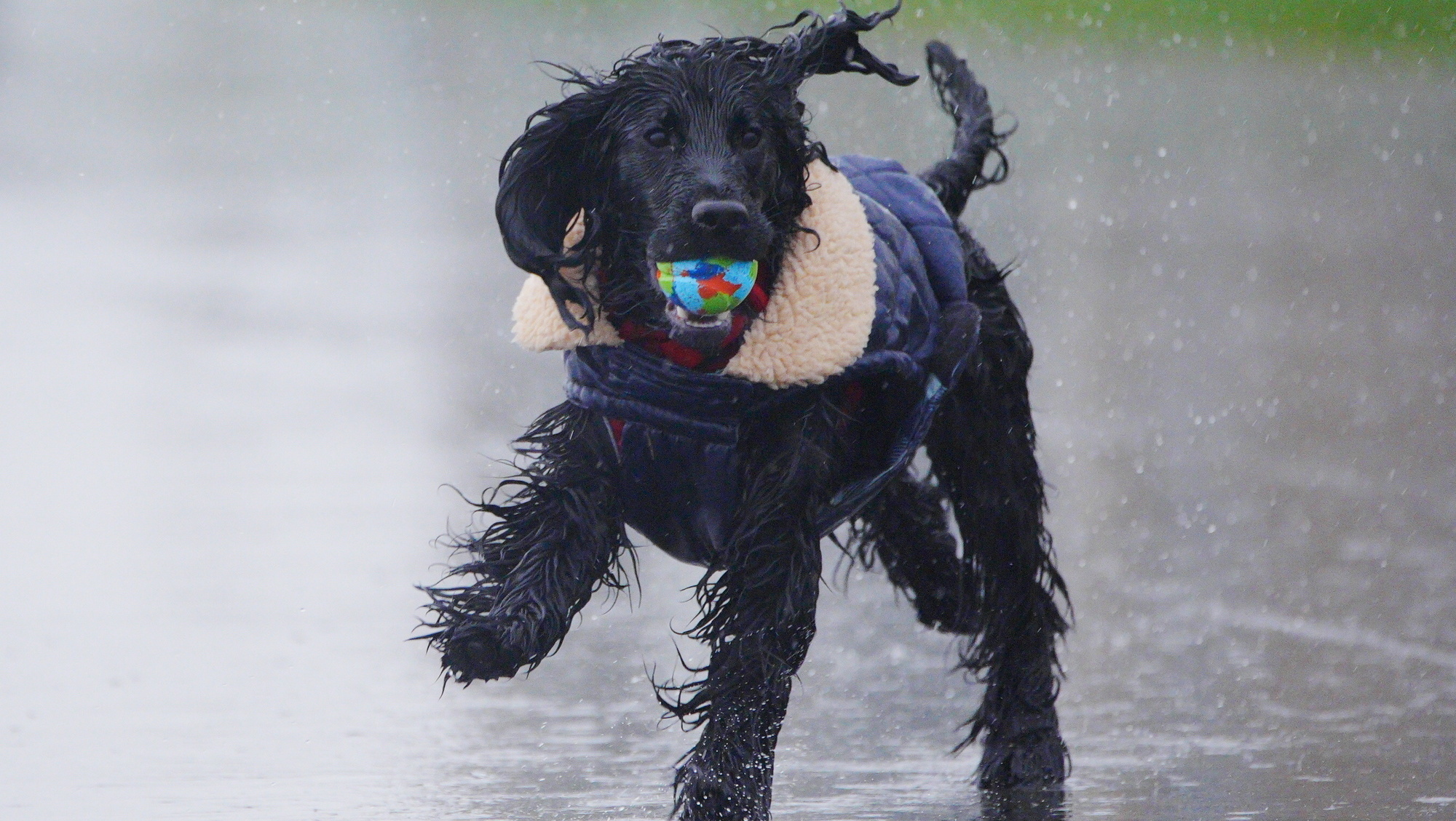 Status orange and yellow rain warnings in place as 12 counties face ...