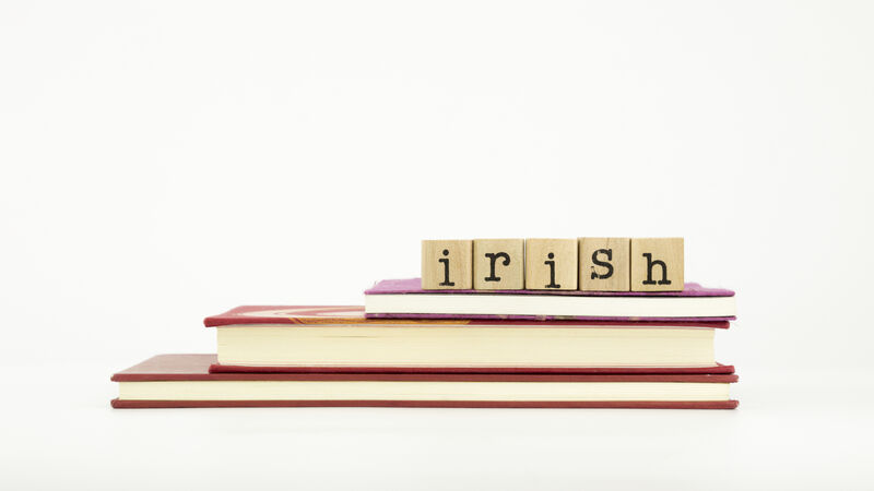 TDs and senators brush up on their Irish with language classes in ...