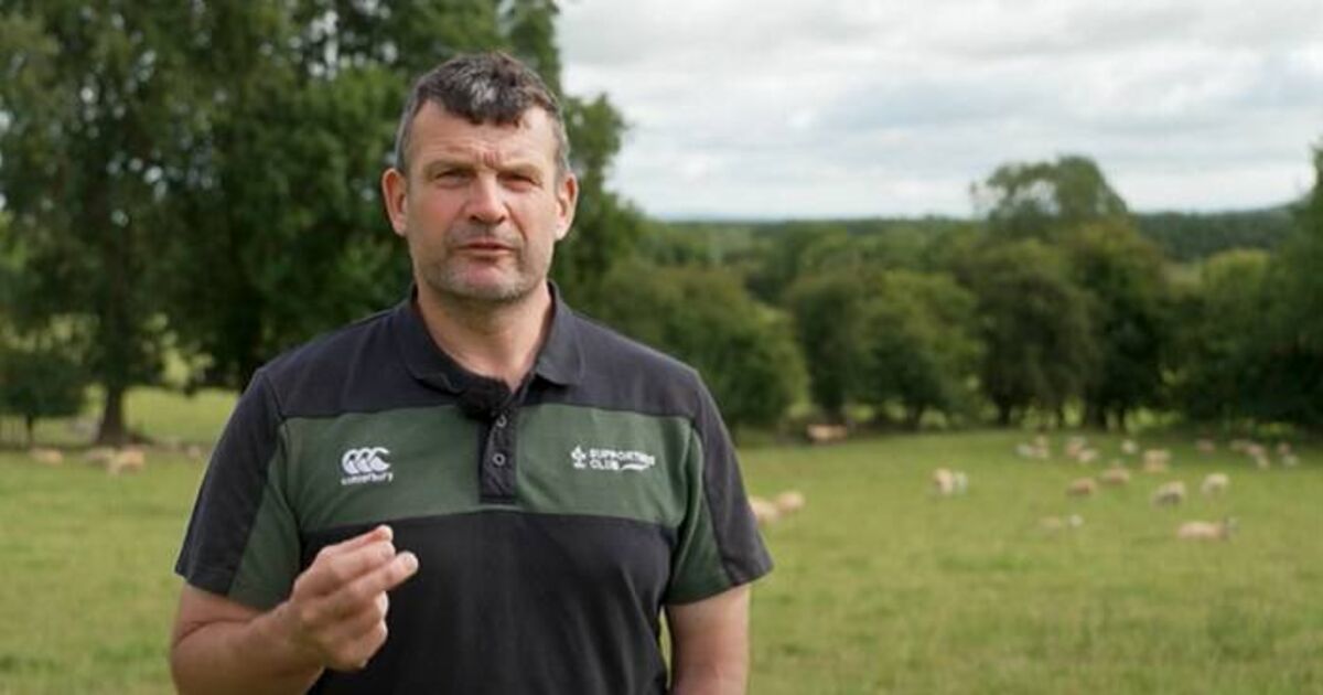 Balancing sheep, beef and tillage – Brian Nicholson’s route to partial ...
