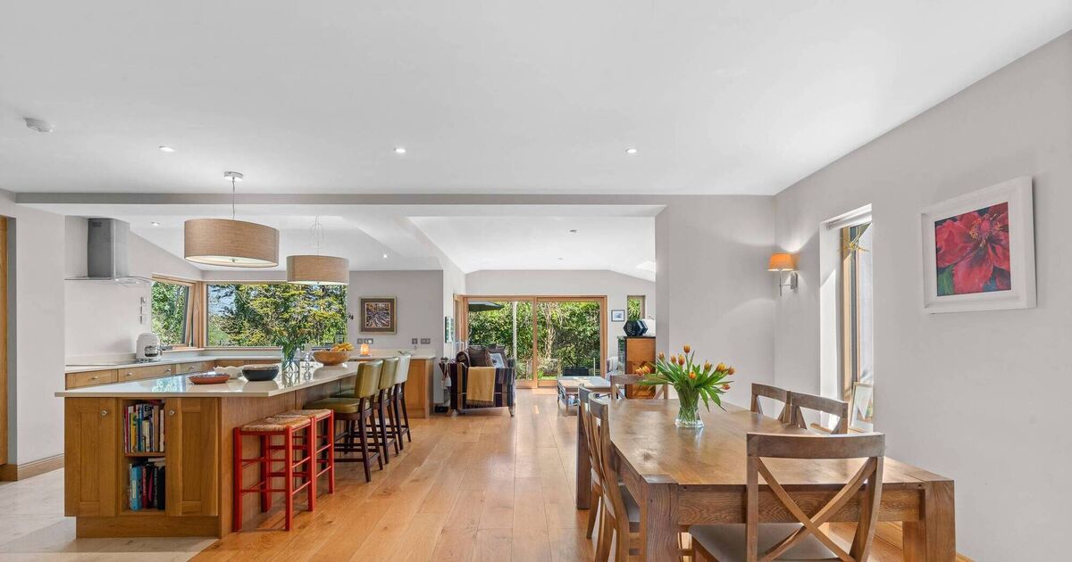 Open plan living is large as life and twice as handsome at €630k ...