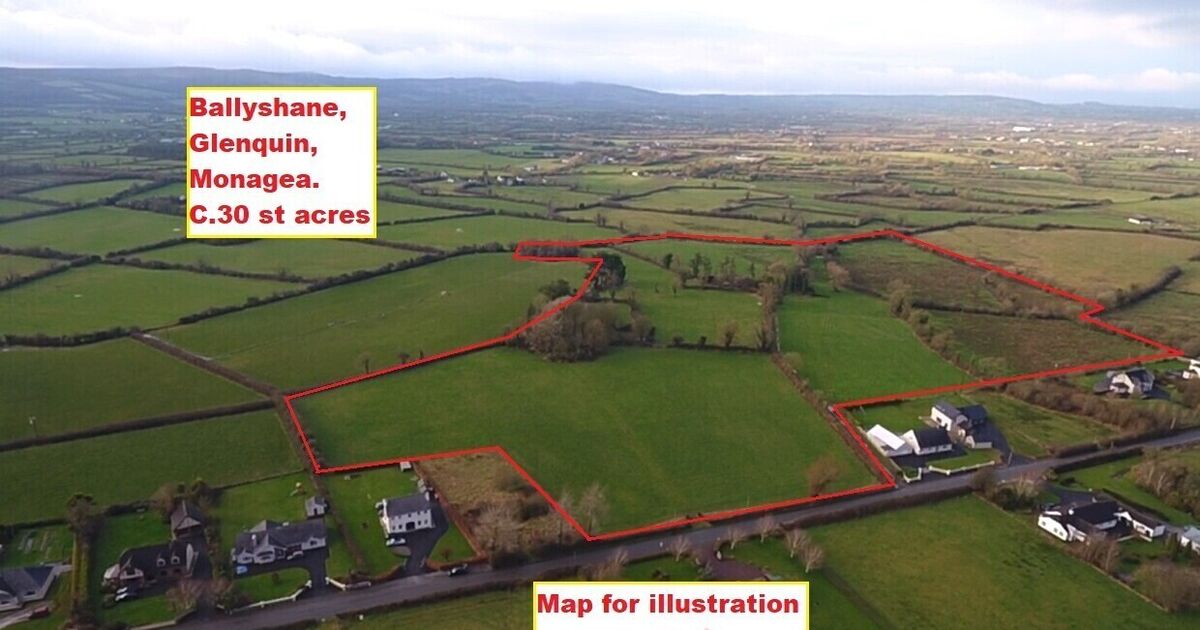Limerick farm fetches €17,000/acre at auction
