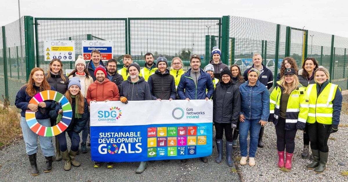 Biodiversity conservation in action at Gas Networks Ireland