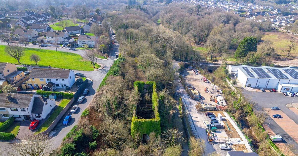 Glanmire's derelict mill site for sale for €575,000