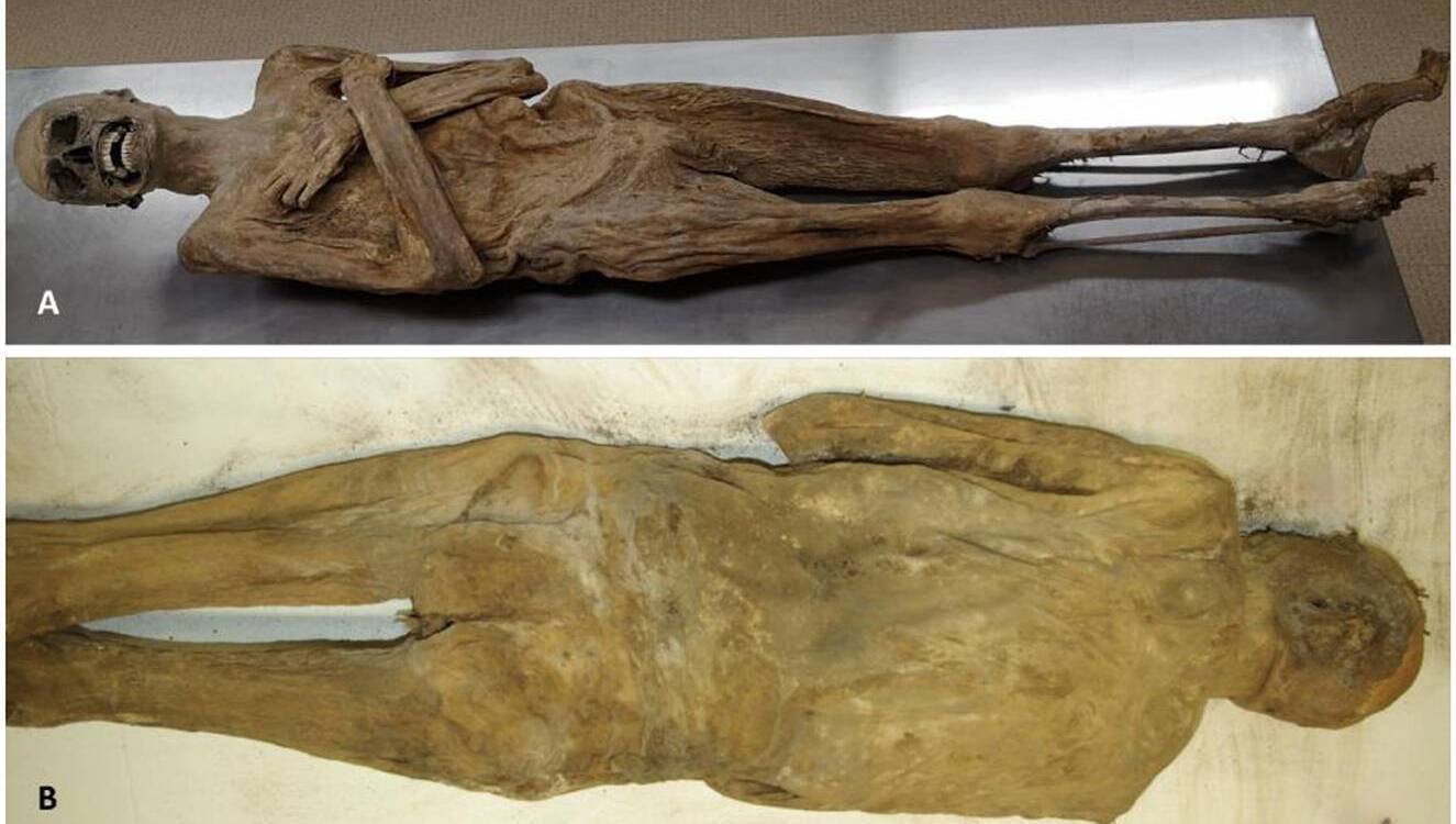 Mummy mystery solved: 'Air-dried' priest was embalmed via rectum
