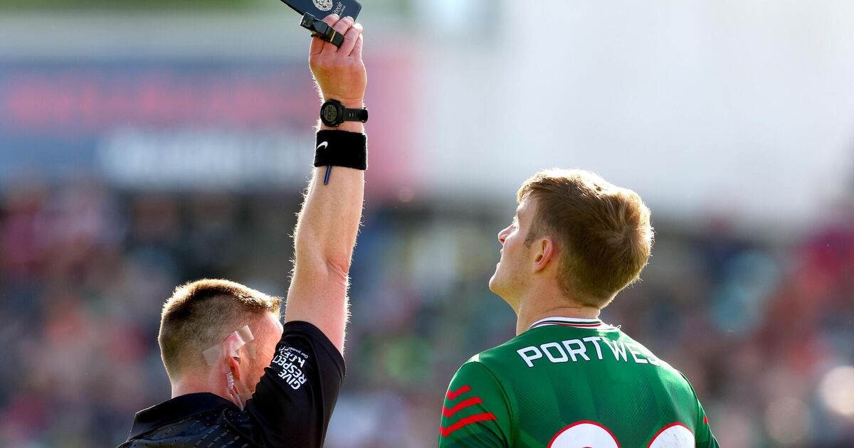 Brian Gavin: Referee afternoons couldn't have differed more as Connacht ...