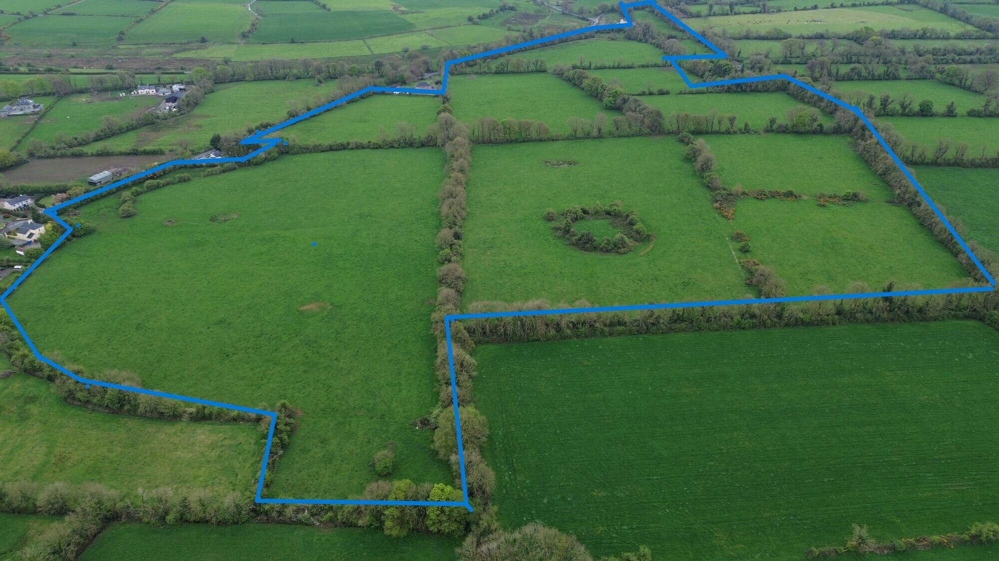 Good turnout expected for auction of 102-acre Golden Vale farm