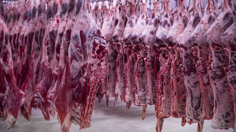 Factory prices steady as beef finishers push back