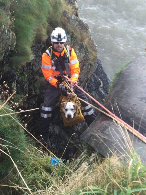 Irish Coast Guard saves dog from cliffs