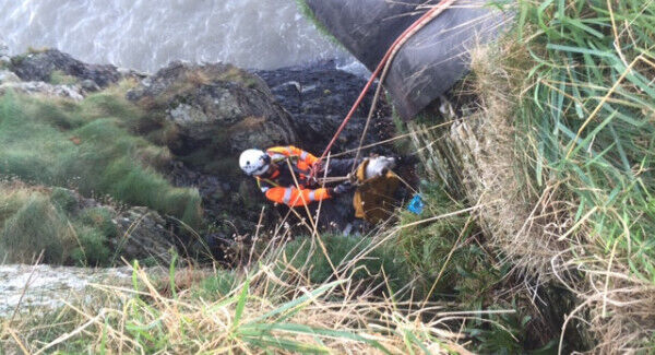 Irish Coast Guard saves dog from cliffs