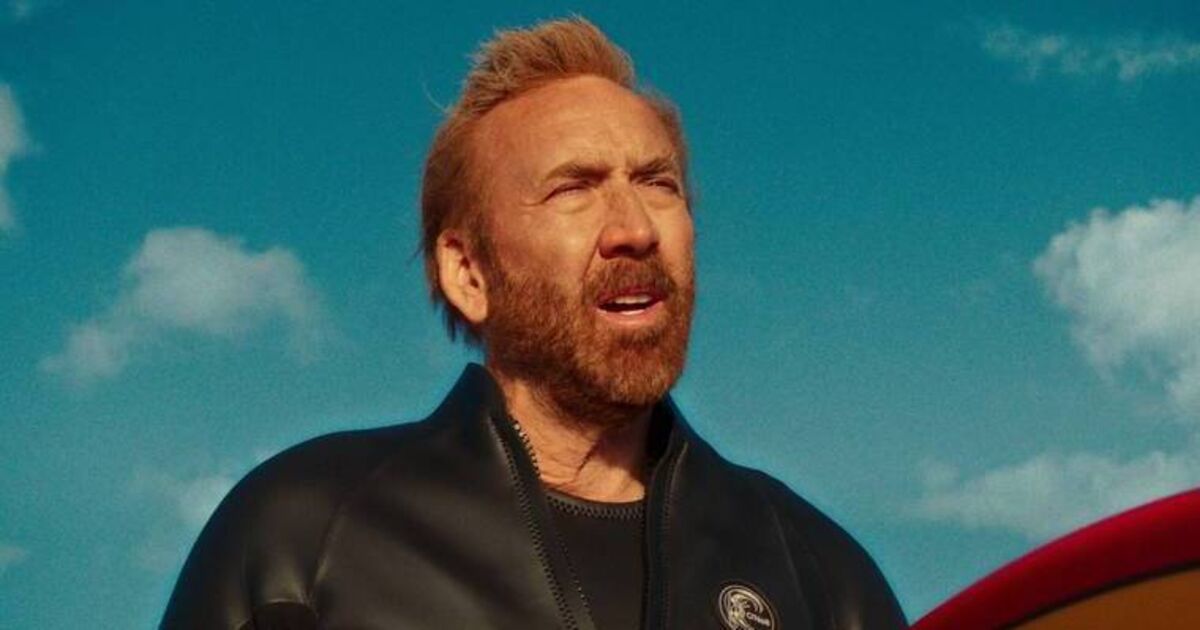 Film review: Nicolas Cage is brilliantly cast in The Surfer
