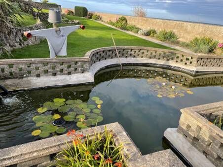 Terry Prone: How a protected species has outwitted me for 20 years and ...