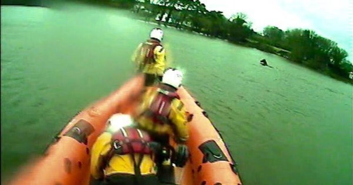 Horse rescued after falling into flooded Nenagh River