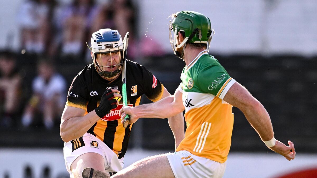 Reid ravenous on return as he fires 2-9 to ease Cats past outclassed Offaly