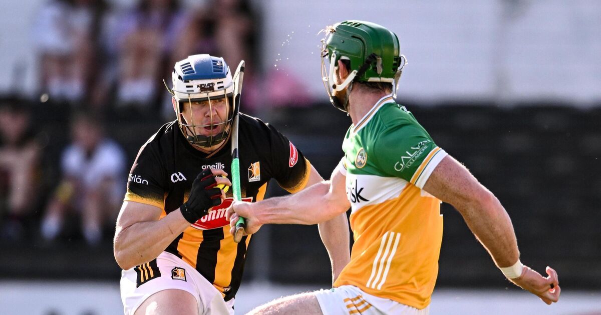 Reid ravenous on return as he fires 2-9 to ease Cats past outclassed Offaly