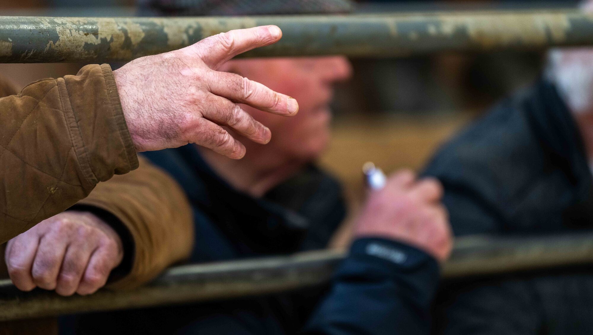 €2.7m profit for Cork Marts as livestock sales hit 30-year high