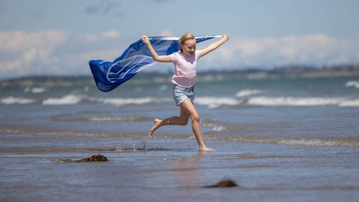 Blue Flags: Cork leads the way in top-rated Irish beaches, marinas, and ...