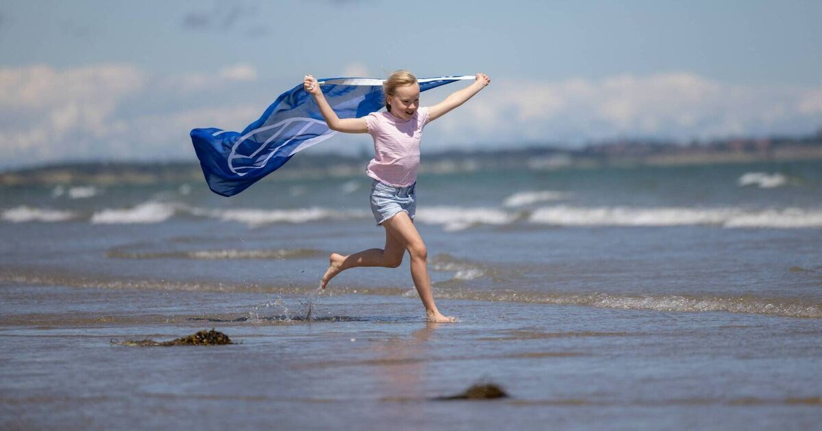Blue Flags: Cork leads the way in top-rated Irish beaches, marinas, and ...