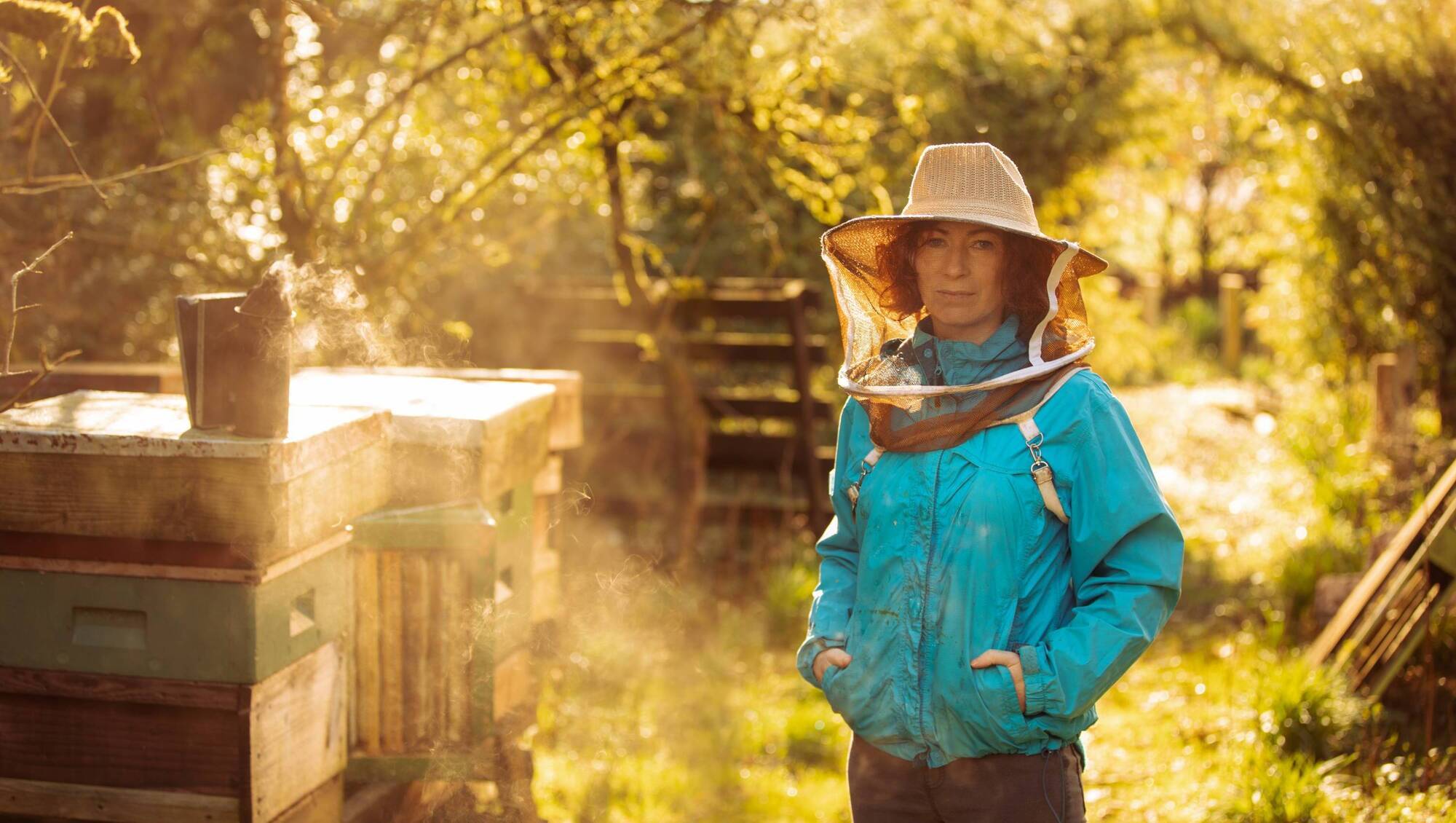 'Bees are crucial to our survival — should we all start keeping bees to ...