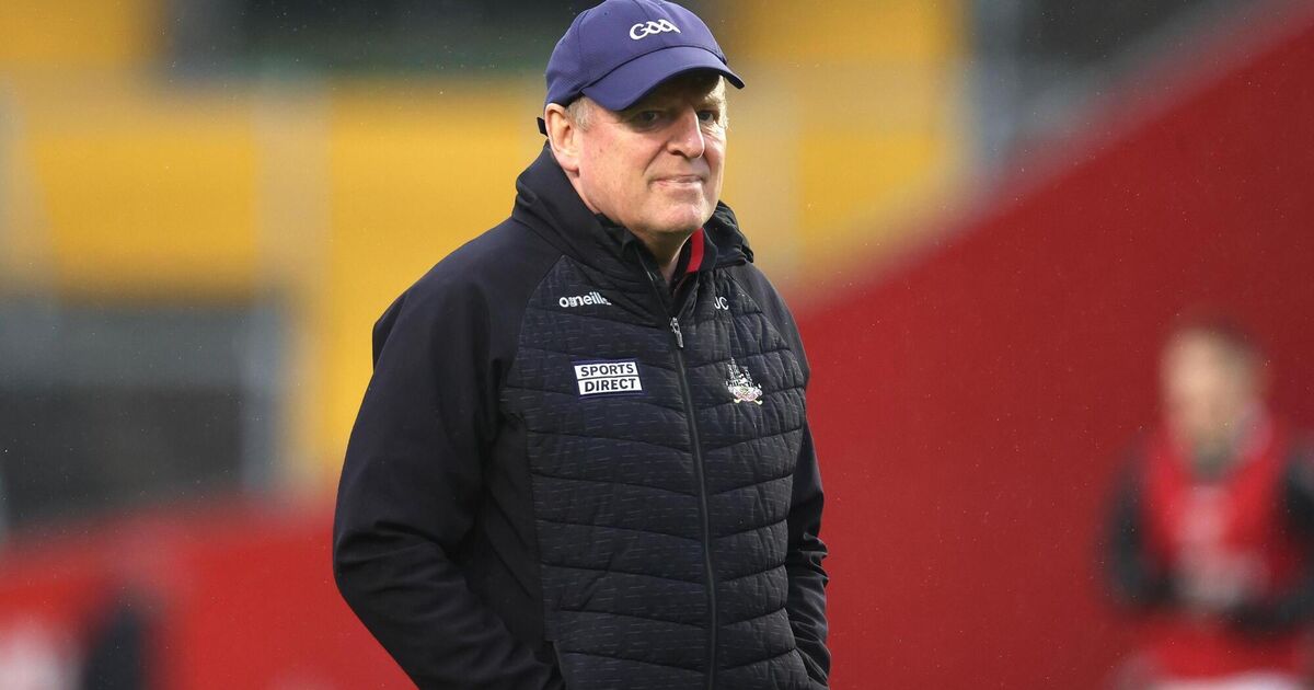 Cleary's recruits have brought freshness and depth to Cork challenge