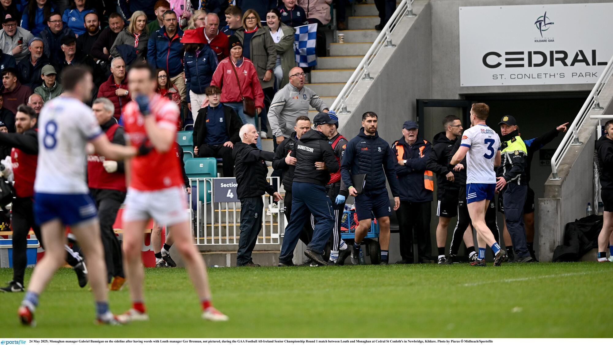Stung Monaghan take out their frustrations on off-key Louth