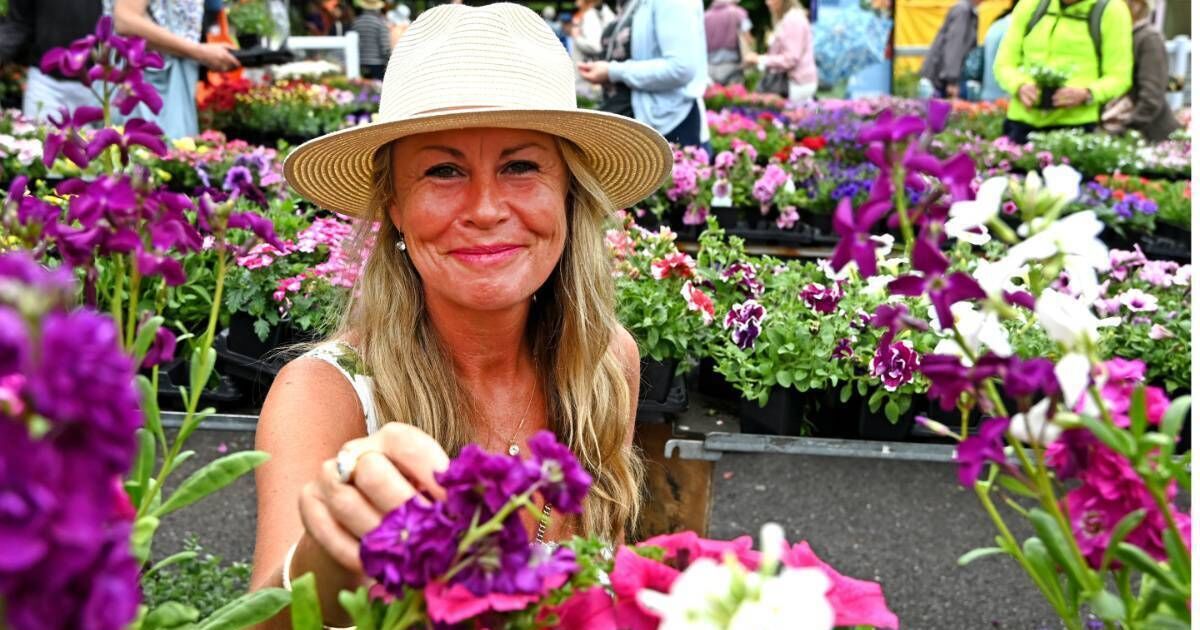 Peter Dowdall: Action stations at Mallow Home & Garden Festival