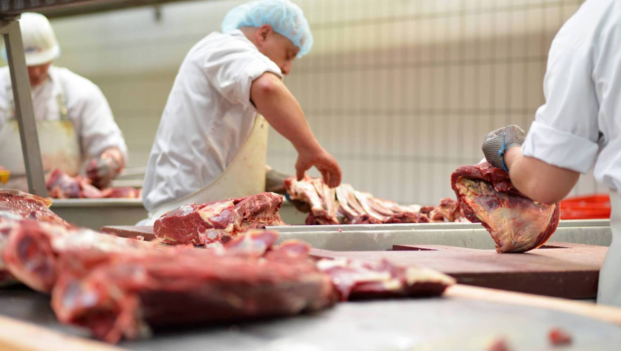 Wide price variation revealed in factory returns for R-grade cattle