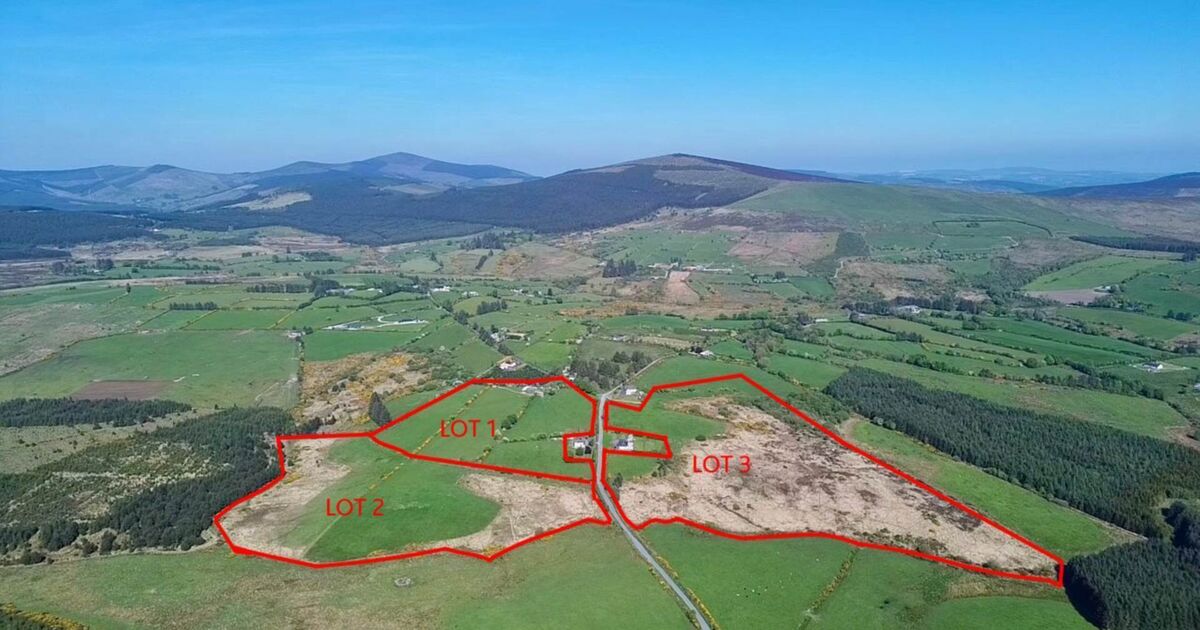 Good-value acreage in 58-acre Wicklow farm for June auction