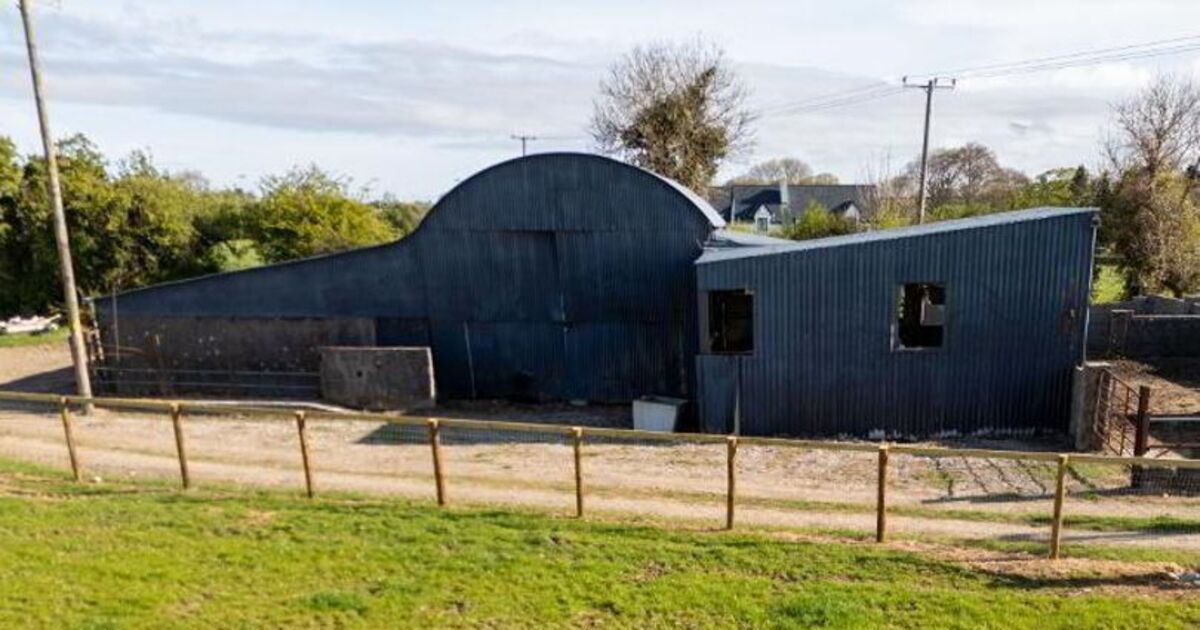 44-acre North Tipperary farm exceeds expectations at auction