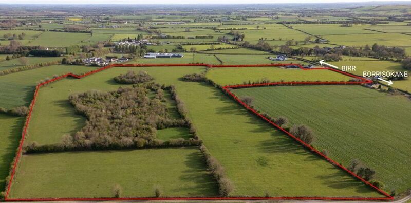 44-acre North Tipperary farm exceeds expectations at auction