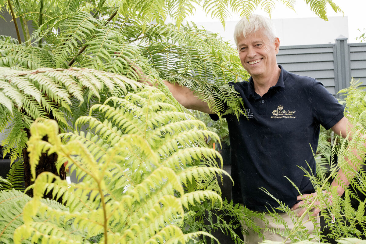 Colin Sheridan: Bloom is the crowning jewel of our capital city