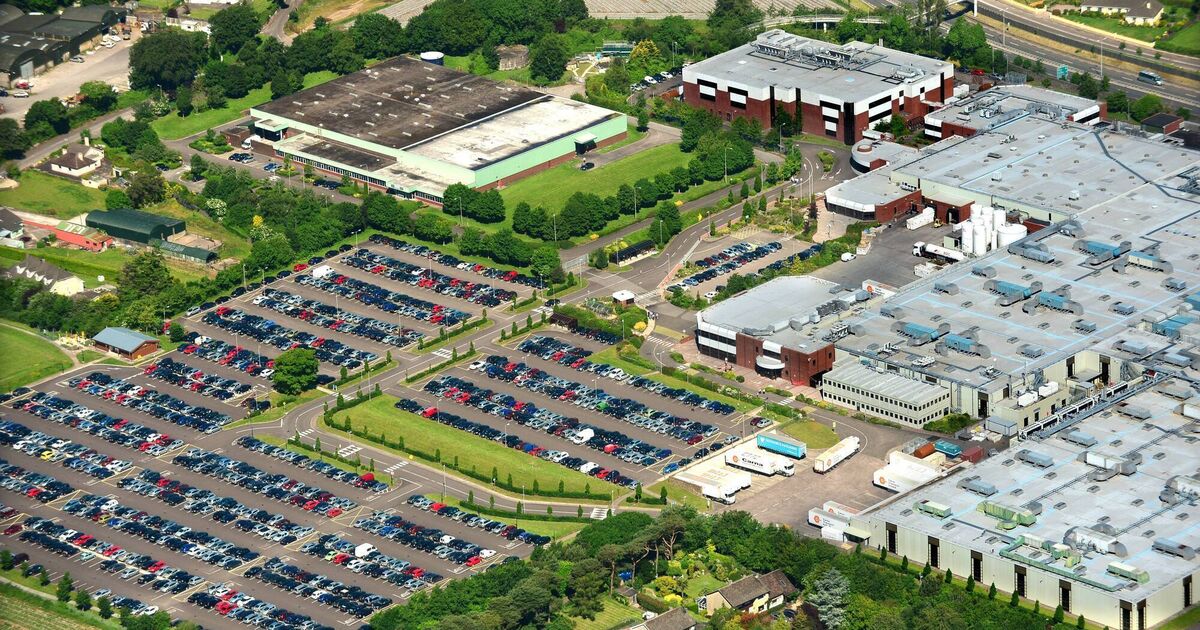 John Whelan: Irish Government not taking advantage of Dell's AI skills