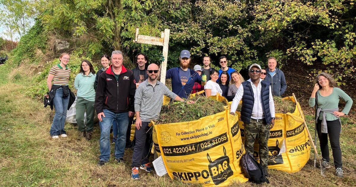 Cork Nature Network becomes Nature Network Ireland — a new name for a ...