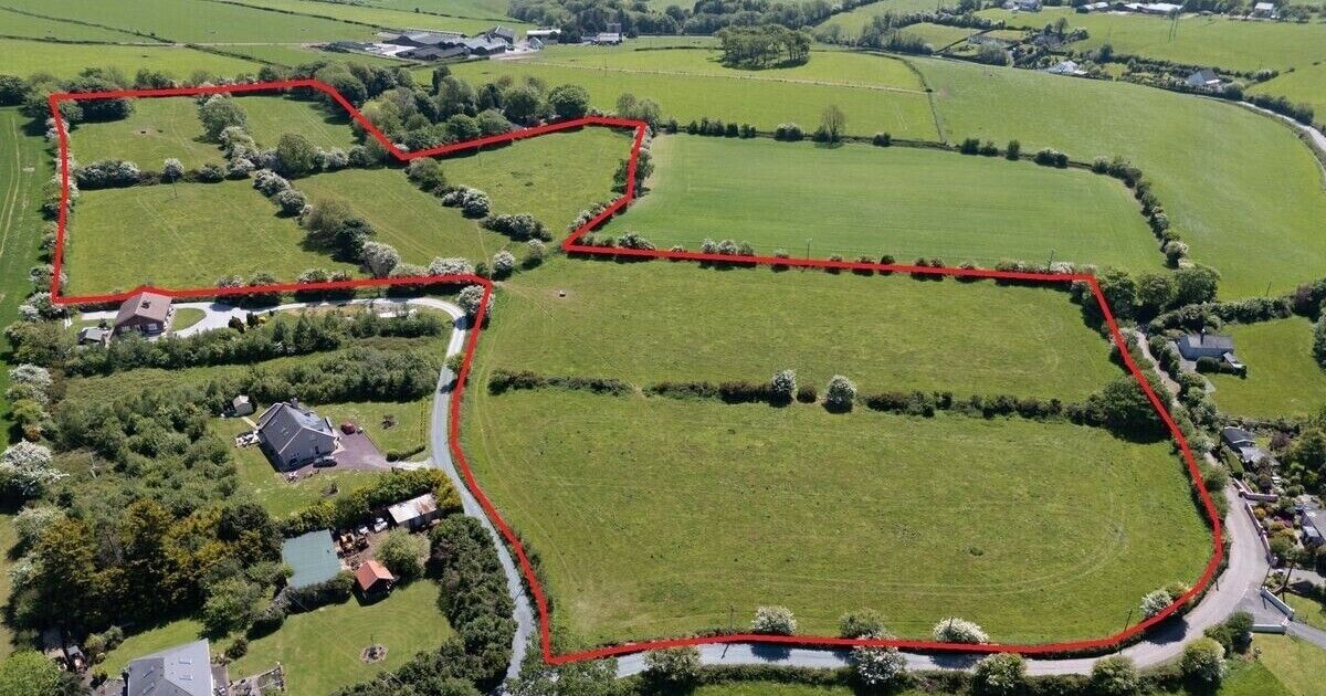 14-acre land holding within Cork's metropolitan green belt guiding €20k ...