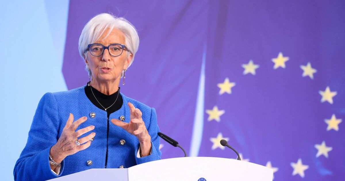 David McNamara: ECB ready to take a pause on rate cuts