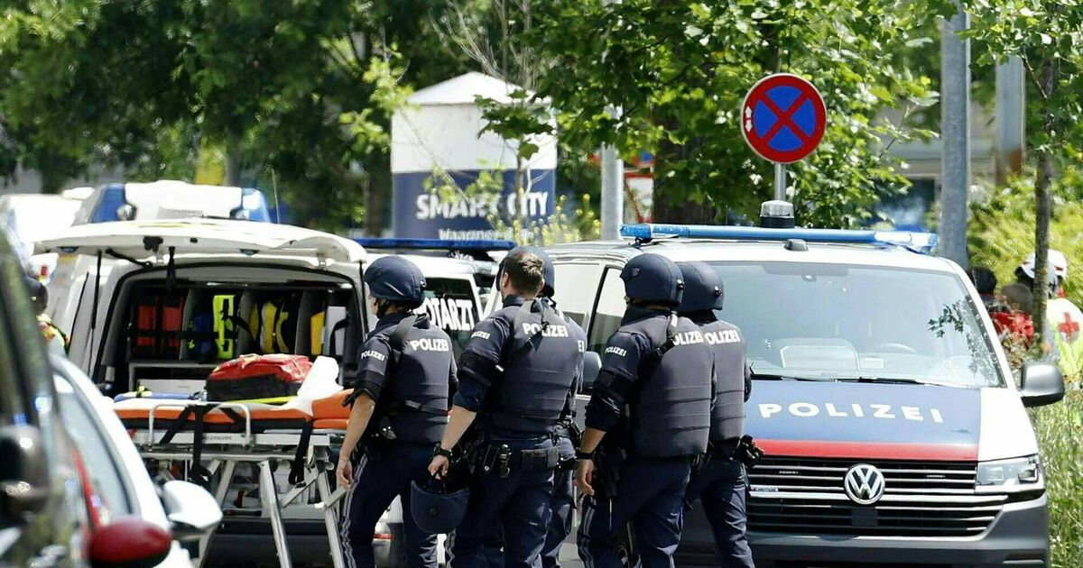 Austria reels from ‘national tragedy’ after gunman kills nine at former ...