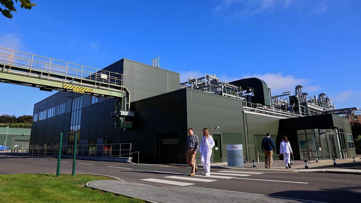 Siptu wins Labour Court support for collective representation at Eli ...