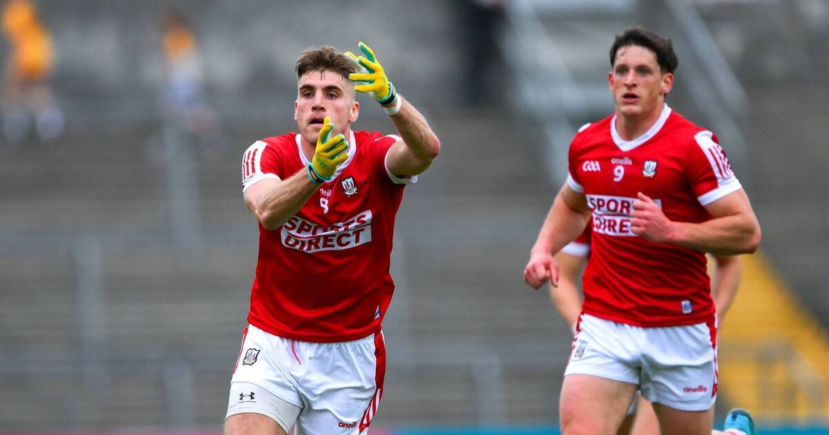Patrick Kelly: Cork are growing in confidence ahead of mouthwatering ...