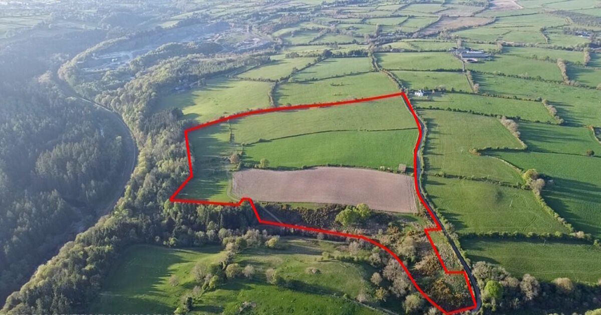 Pair of Wicklow farms fetch over €14k/acre at auctions