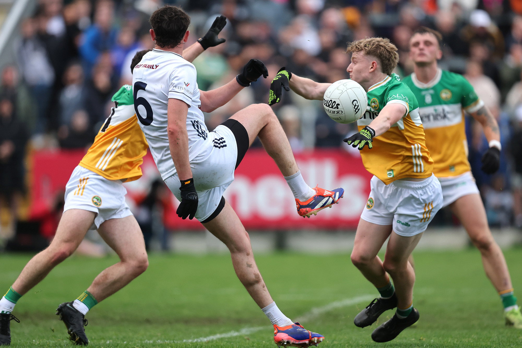 David Hyland: 'We were sick to our teeth over Leinster'